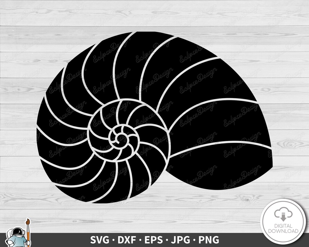 Beach Seashell SVG Clip Art Cut File Silhouette Dxf Eps Png Jpg Instant ...