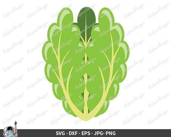 Collage Visual Arts Lettuce Dxf Eps Lettuce Clipart Lettuce Png Lettuce ...