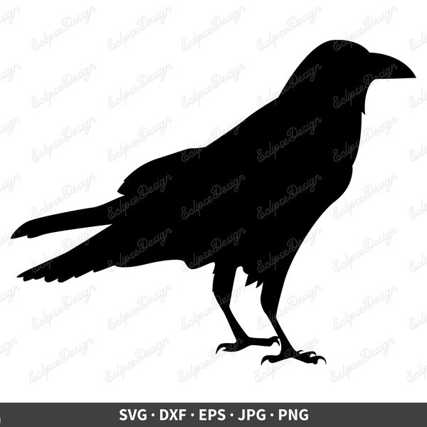 Raven - Etsy