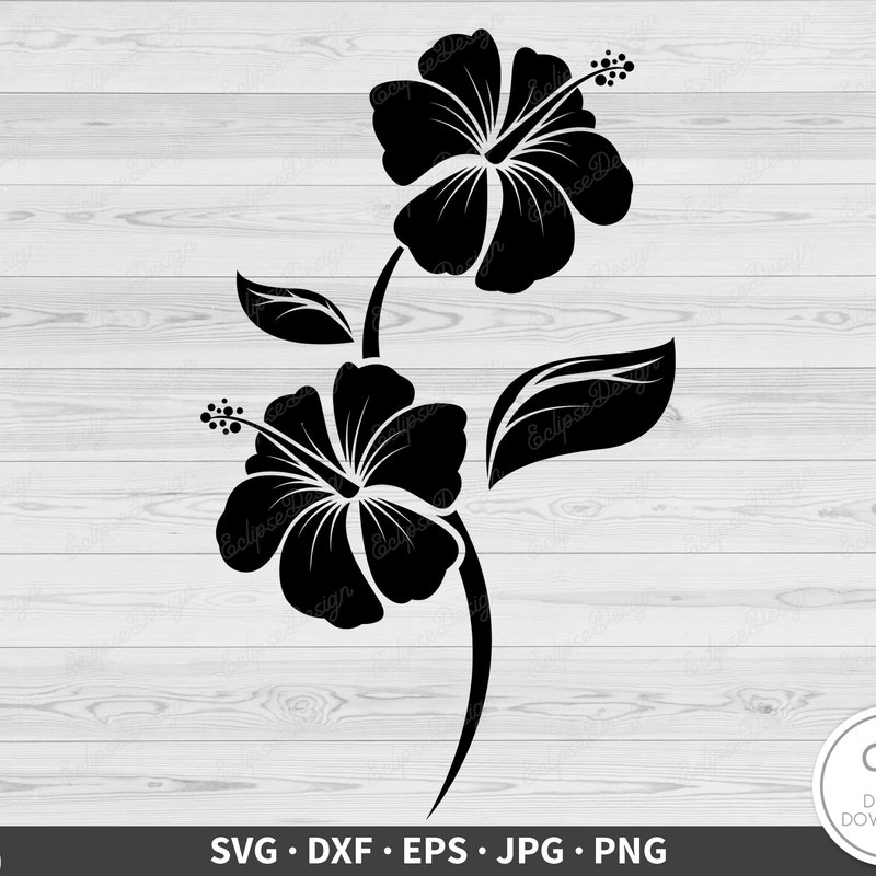 Hibiscus Flower Svg - Etsy