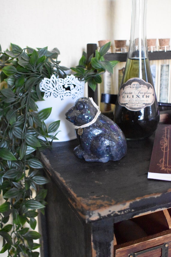 Frog Familiar Dnd Themed black | Etsy