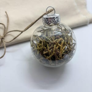 Dried Nature Ornament, Juniper & Berries, Christmas Tree Ornament ...