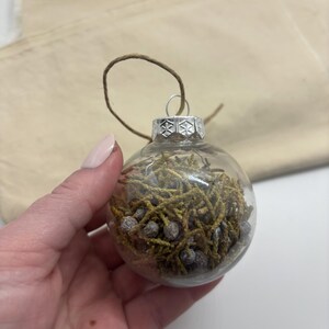 Dried Nature Ornament, Juniper & Berries, Christmas Tree Ornament ...