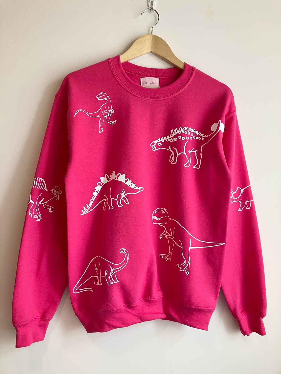 Mega Dinosaur Sweatshirt- Novelty Print - Unisex- Customisable ...