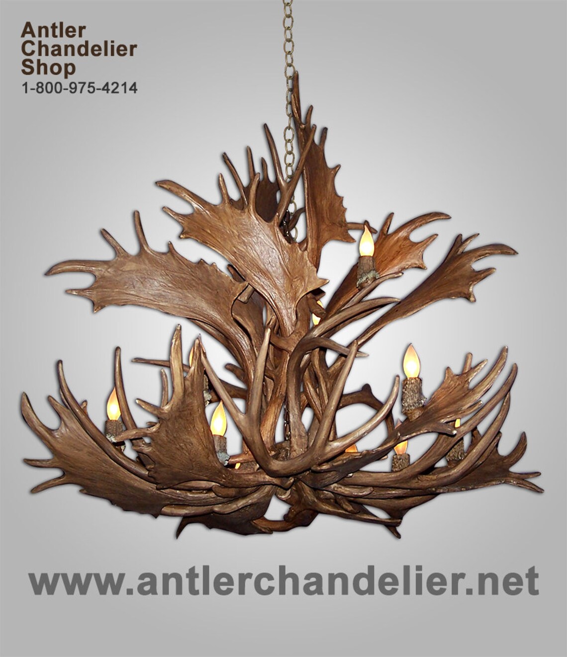 CRL-FMDCLUSTER Reproduction Antler Fallow / Mule Deer Cluster - Etsy