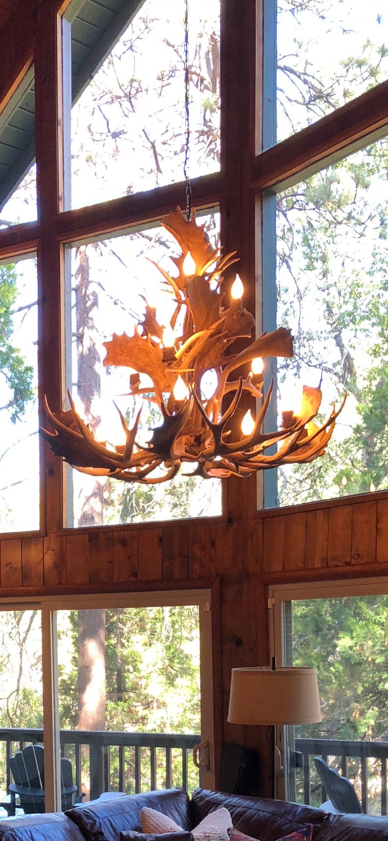 CRL-FMDCLUSTER Reproduction Antler Fallow / Mule Deer Cluster ...