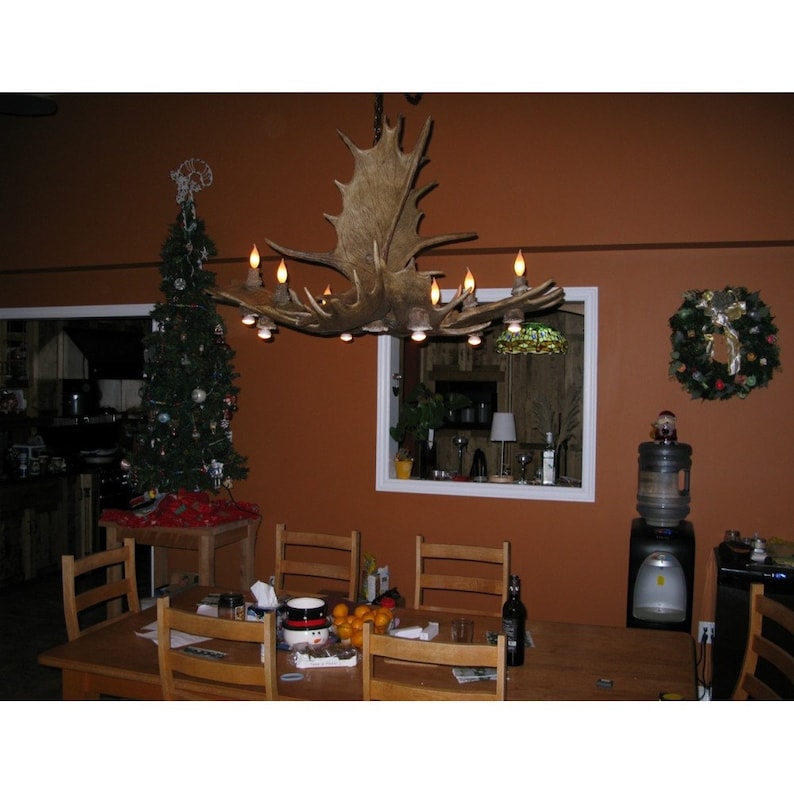 MOOSEPL-8 Real Antler Moose Pool Table Chandelier - Etsy Canada
