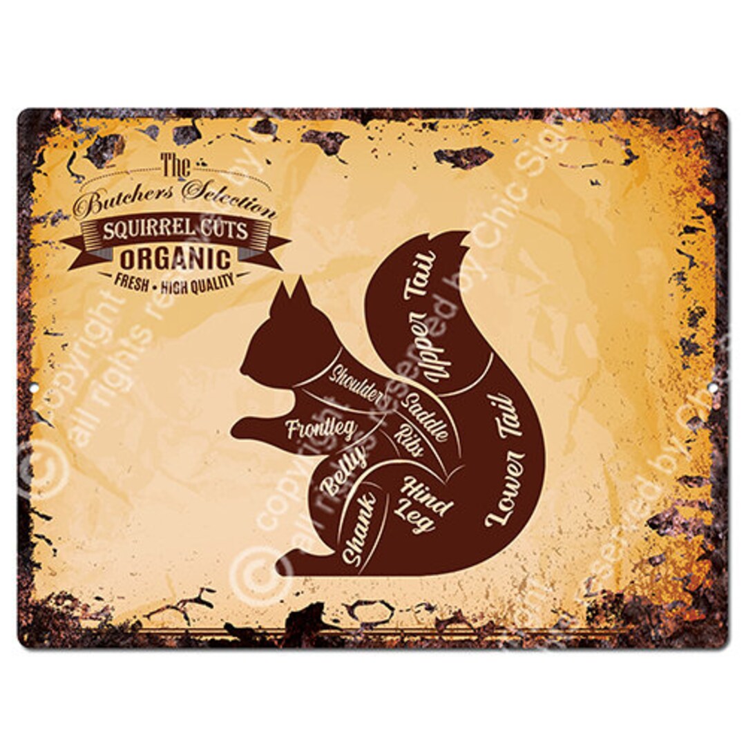 Wild Animals Meat Cut Metal Sign Design, Squirrel, Bear, Alligator ...