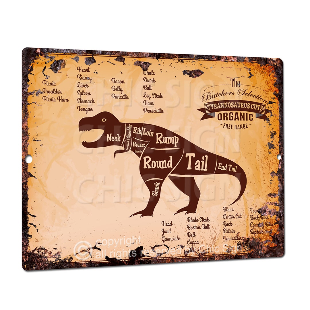 Dinosaur Metal Sign, Funny Gift Ideas for Kids, Him/her, Home Room Dorm ...