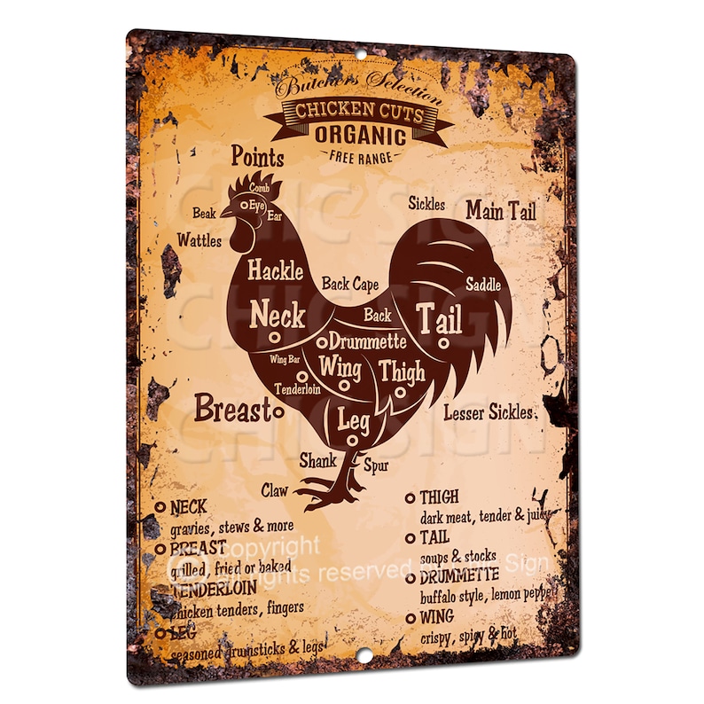 Farm Animals Meat Cut Metal Sign Design, Beef Pork Chicken, Gift Ideas ...