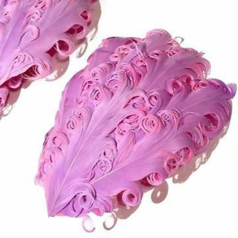 Feather Bra - Etsy