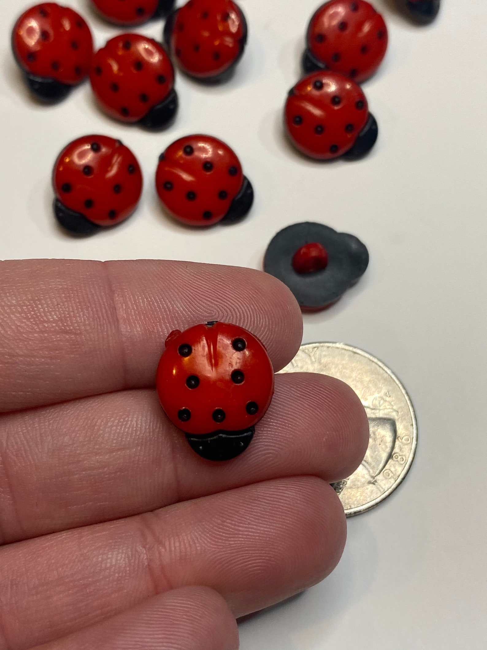 13x15mm Ladybug Acrylic Sewing Buttons W/ Shank Buttons for - Etsy