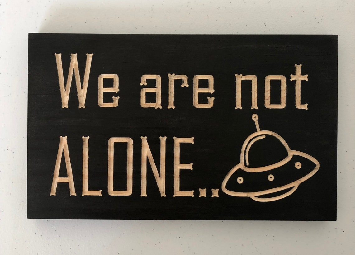 We Are Not Alone Wooden Sign - Etsy UK