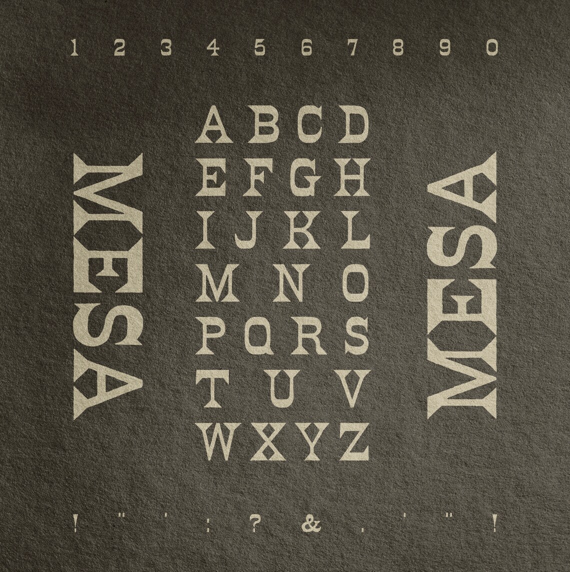 Mesa Font Handmade Typeface, OTF Digital Download, Vintage Font ...