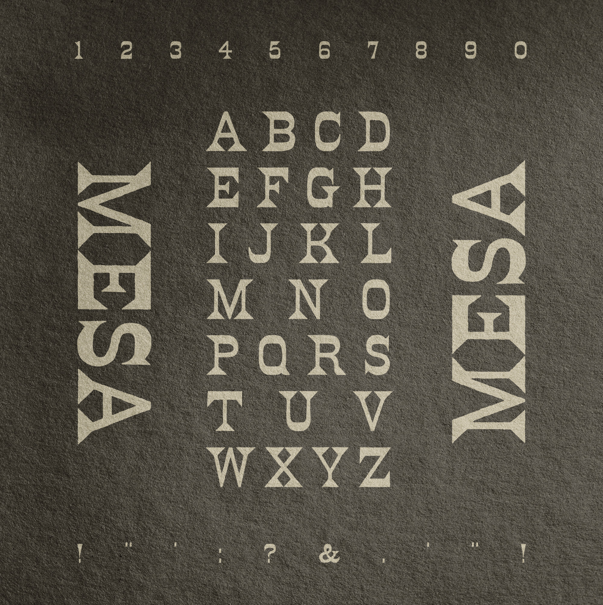 Mesa Font Handmade Typeface, OTF Digital Download, Vintage Font ...