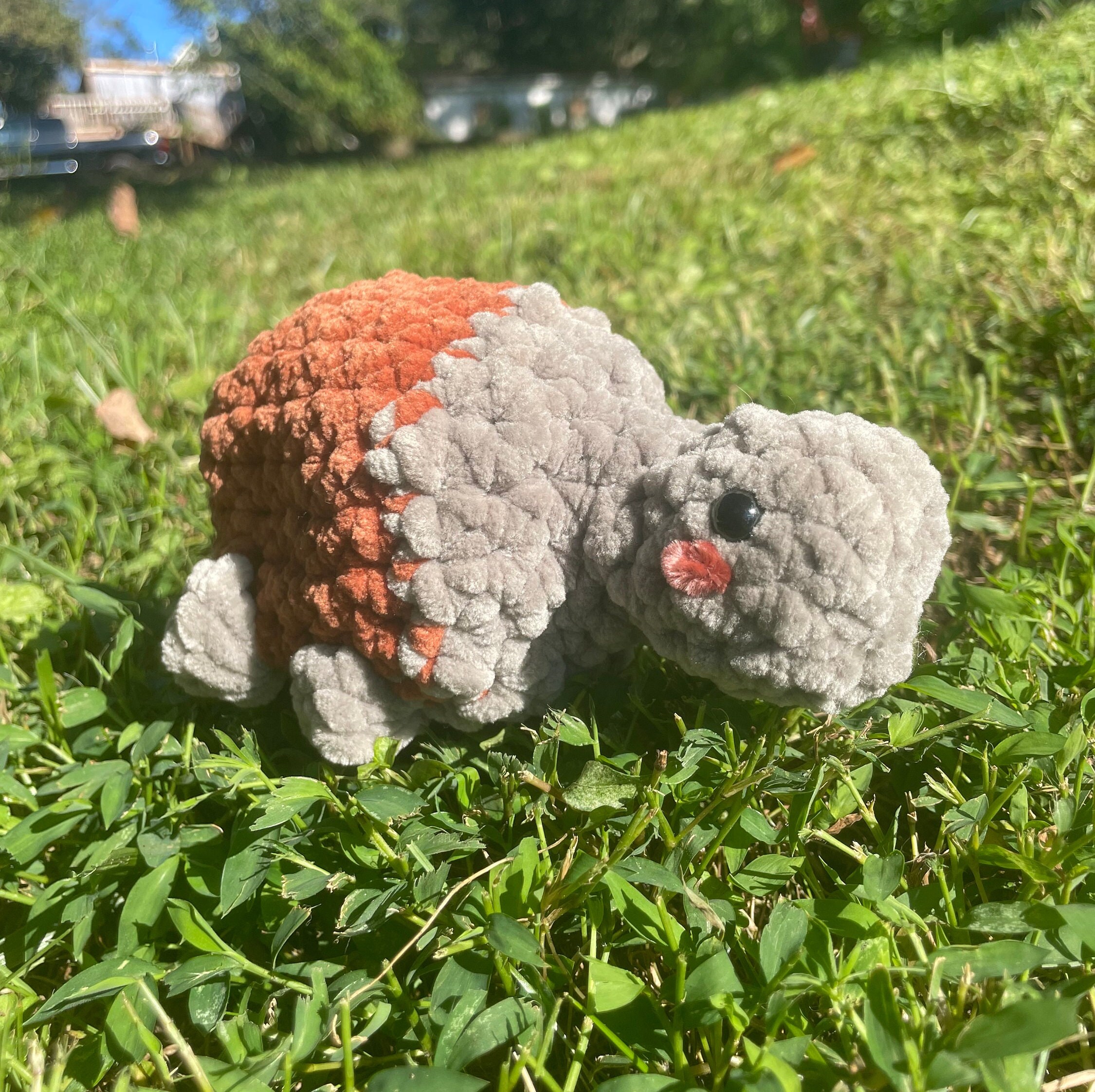 Blushing Popit Turtle - Etsy