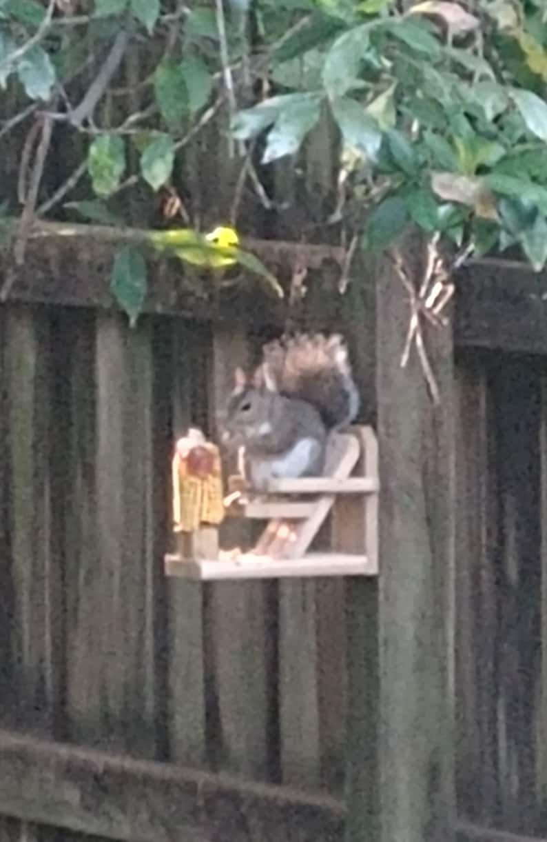 Squirrel Feeder Chair and Table Hand-crafted Cedar - Etsy