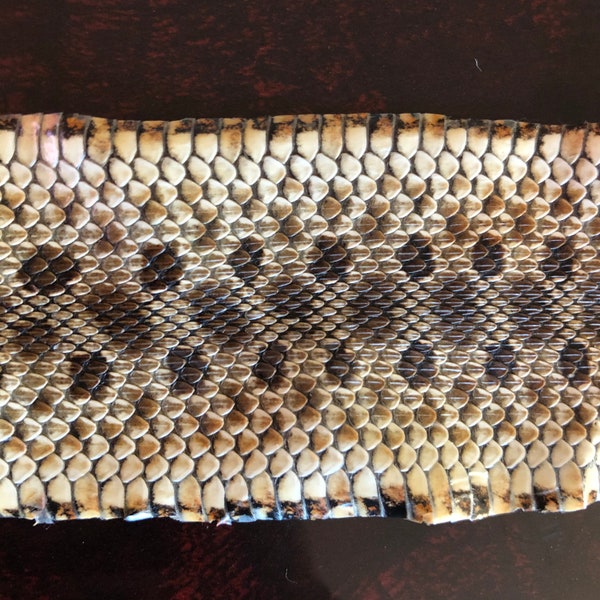 Real Snake Skin - Etsy
