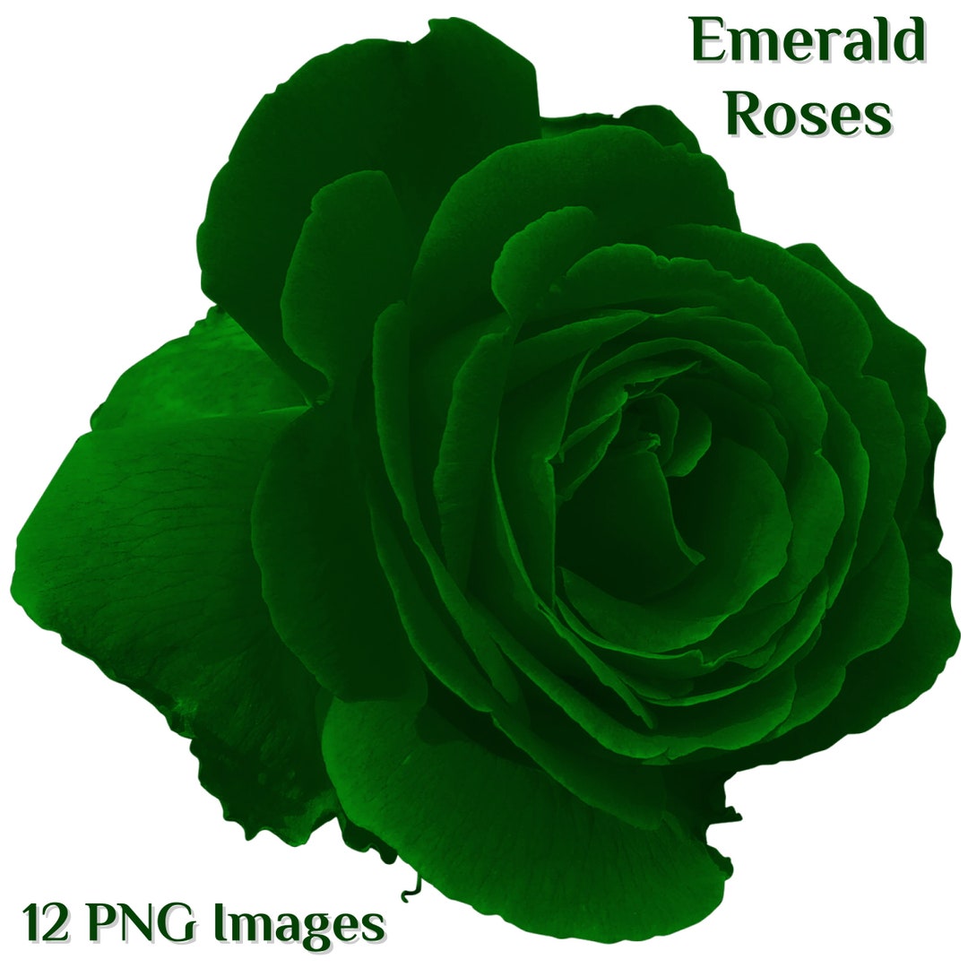 Emerald Roses PNG Bundle, 12 Green Roses Images, Printable Roses ...