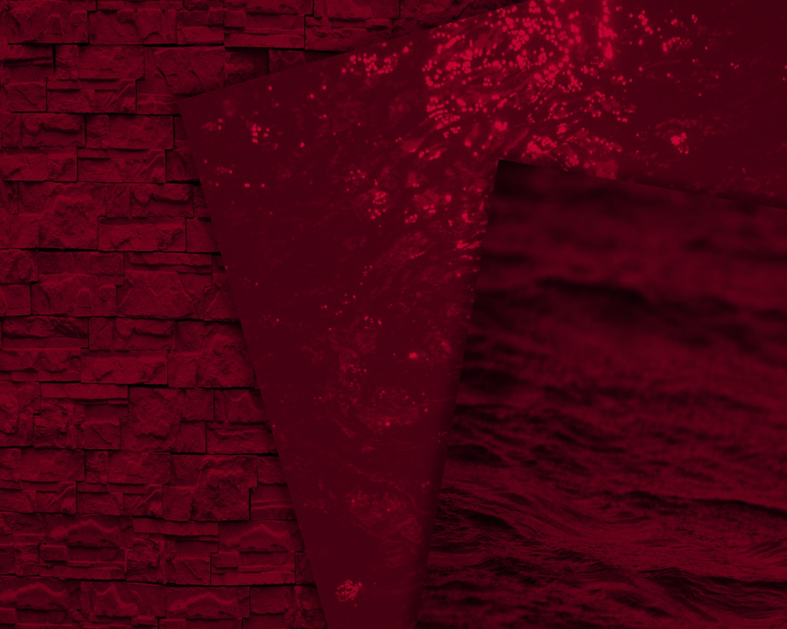 Distressed Burgundy Digital Paper Pack, 18 Burgundy Textures Vintage ...