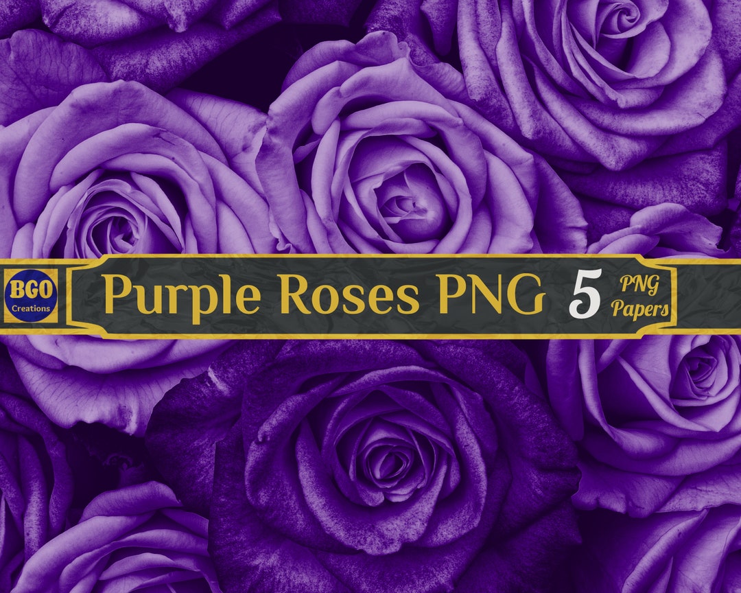 Purple Roses PNG Digital Paper Pack, 5 Photography Background Floral ...