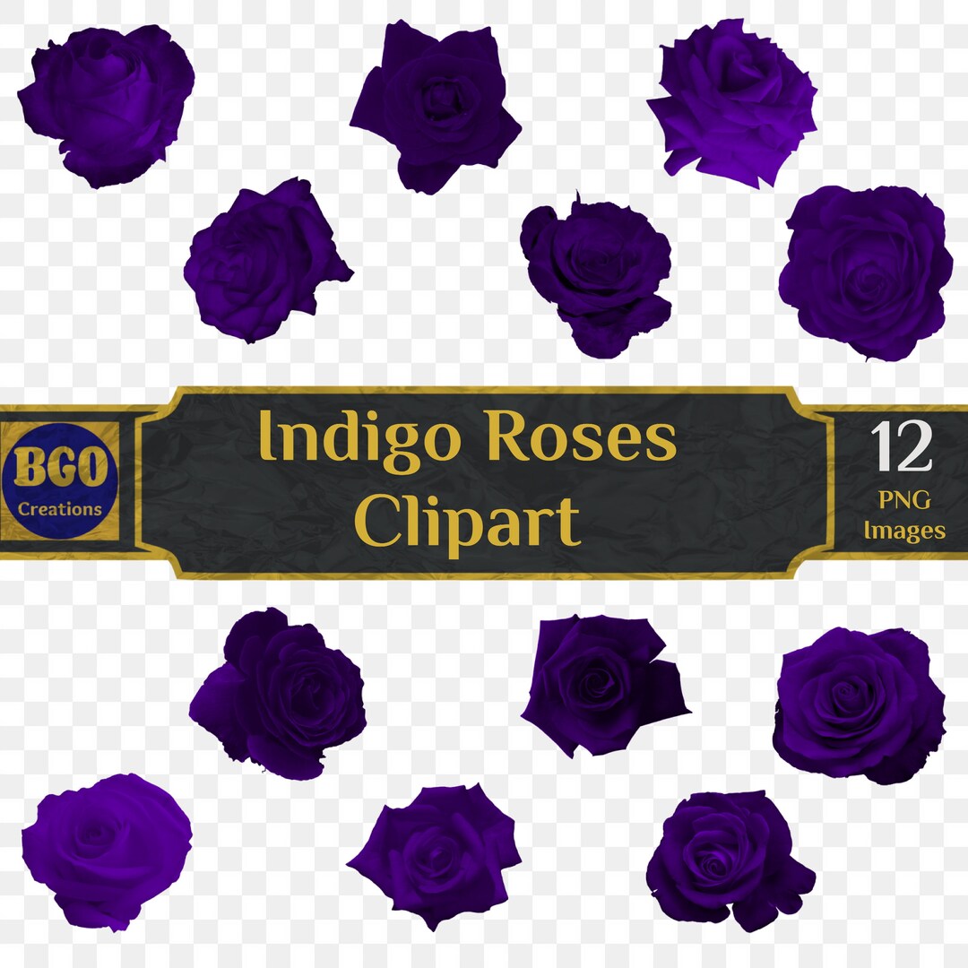 Indigo Roses PNG Bundle, 12 Purple Roses Images, Printable Roses ...