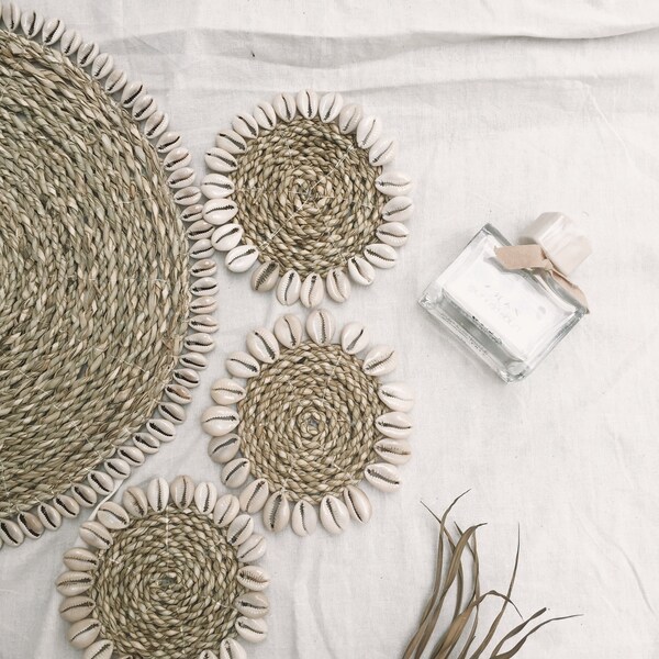 Sea Shell Coasters - Etsy