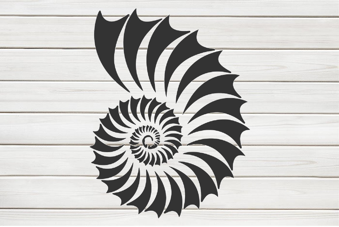 Ammonite Shell Fossil Shape Stencil Model Design Print - Etsy