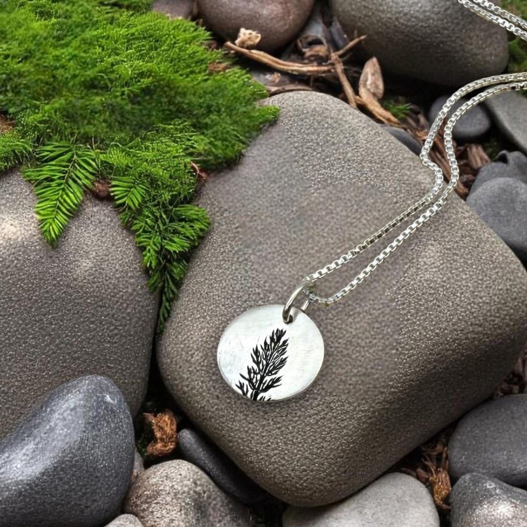 Delicate Fern Moss, Tiny Round, Crescent Moon, Reproduction, Nature ...