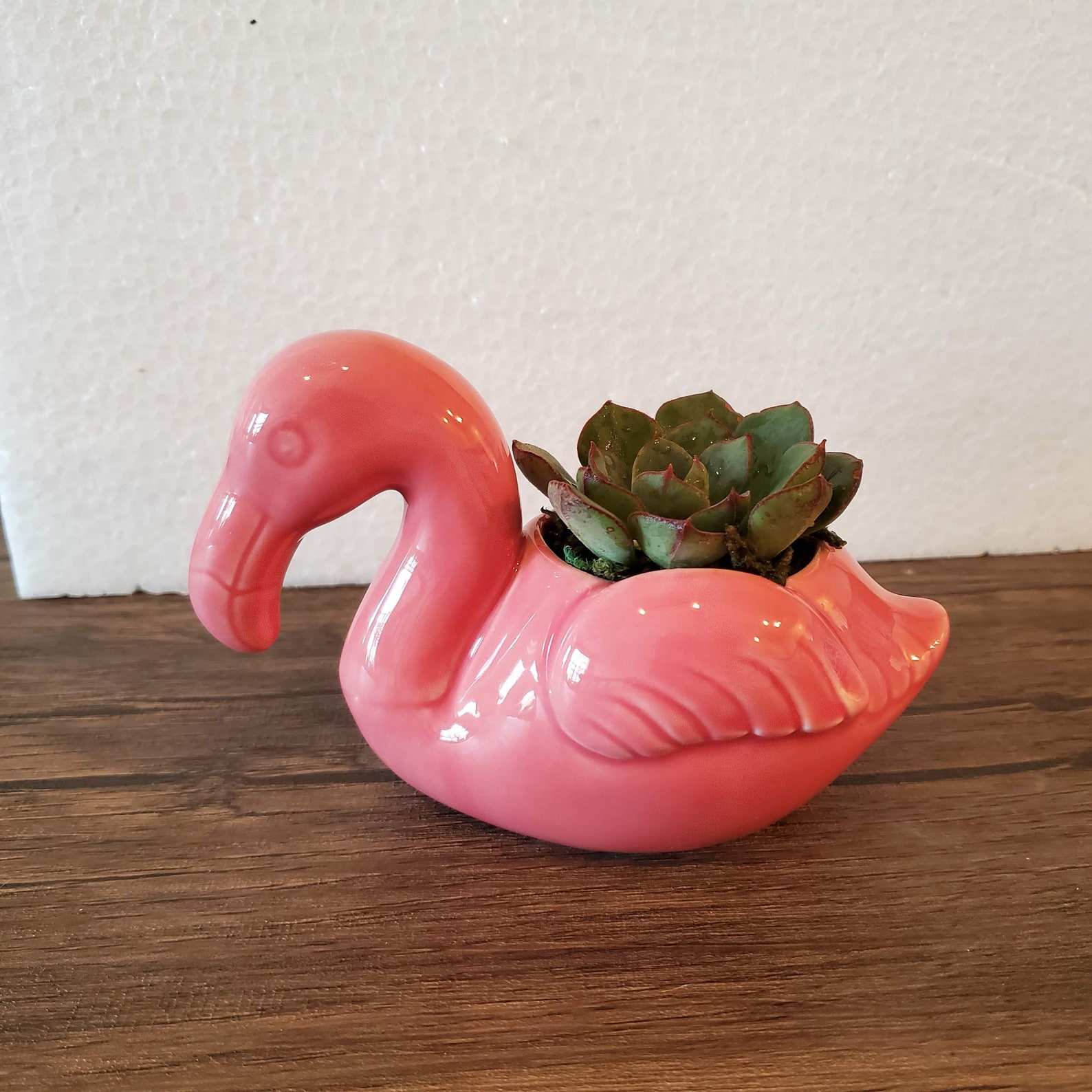 Pink Flamingo Planter With Succulent Potted Succulents | Etsy