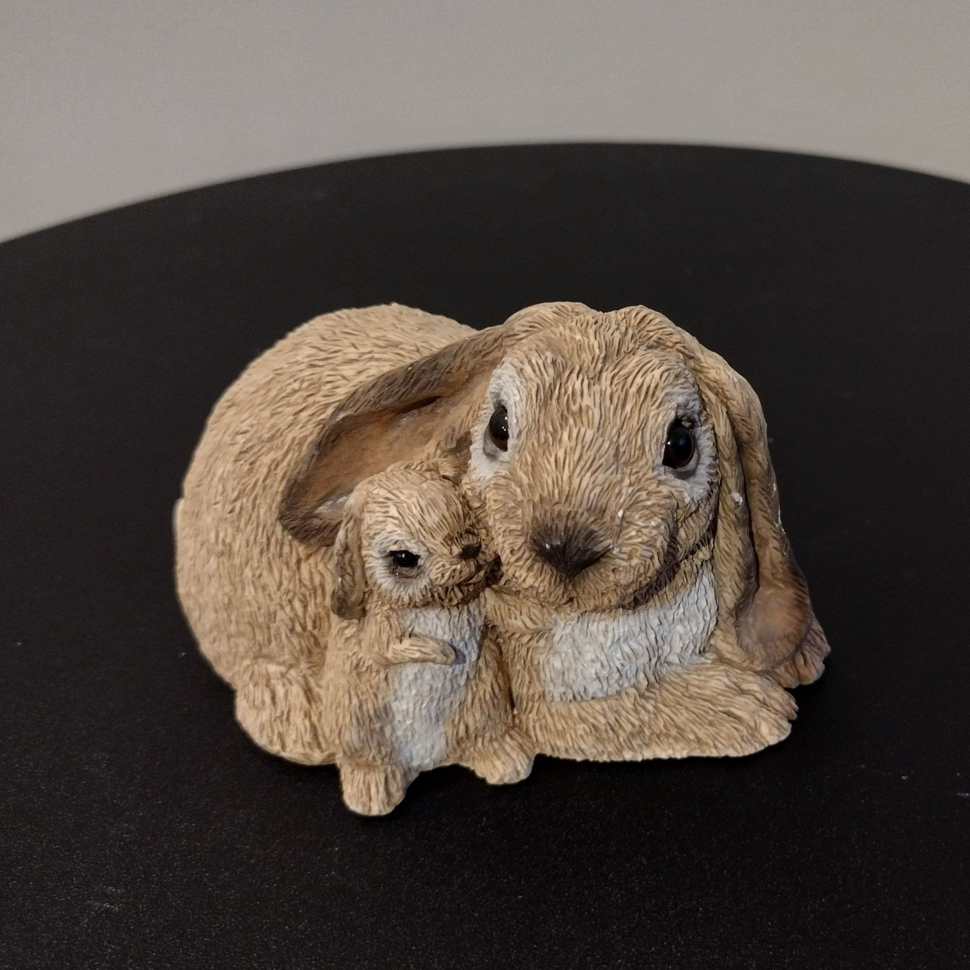 Penny Bird Rabbit Pregnant