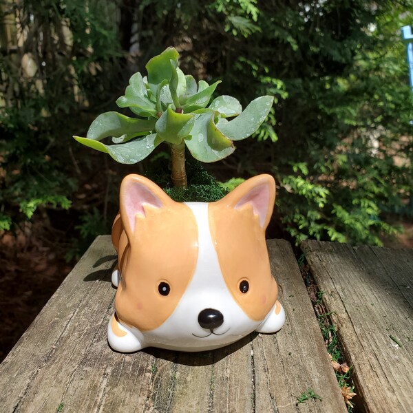 Corgi Planter - Etsy