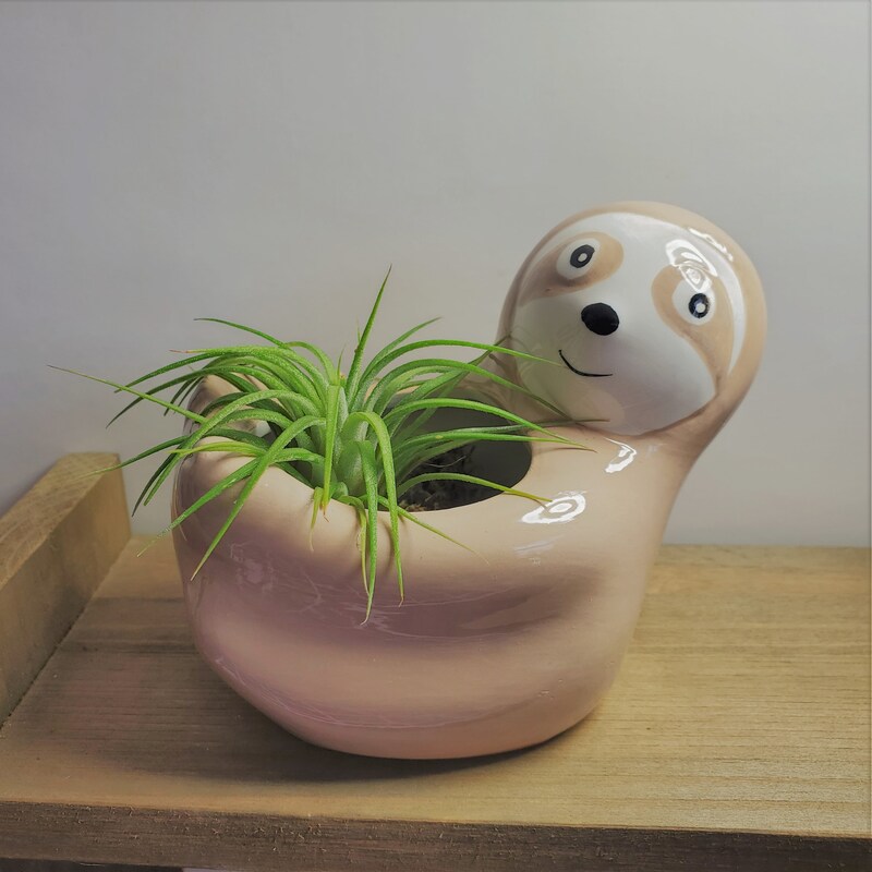 Crochet Sloth Planter - Etsy