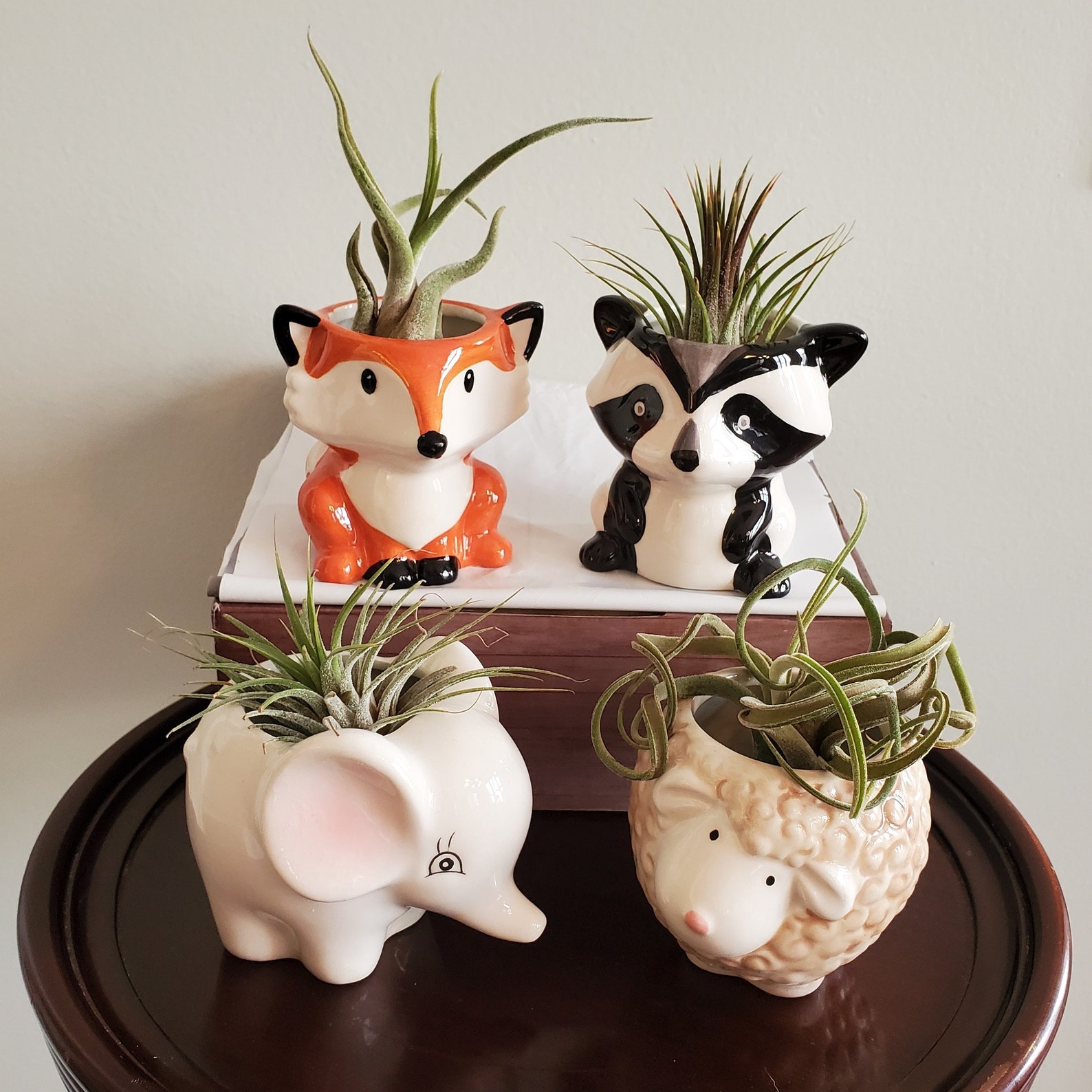 Fox Planter With Air Plant Animal Planter Air Plant Gift for - Etsy