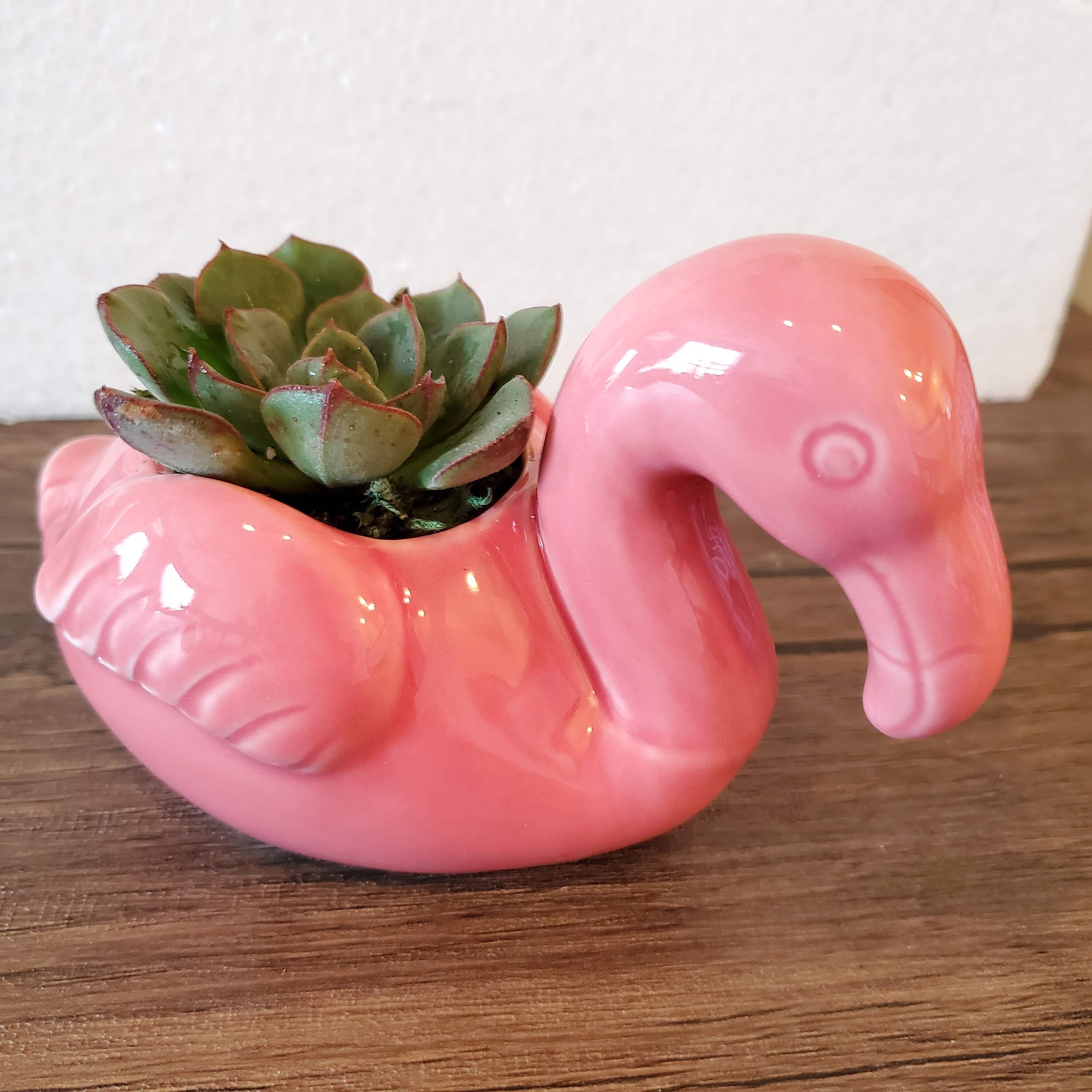Pink Flamingo Planter With Succulent Potted Succulents | Etsy