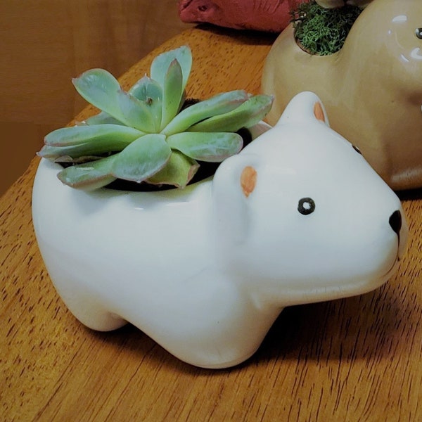 Ceramic Bear Pot - Etsy