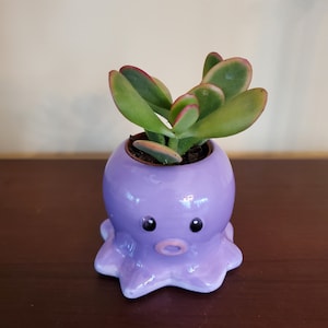 Ceramic Animal Planters With Live Succulents, Gift, Sea Creatures ...