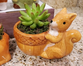 Squirrel Planter - Etsy