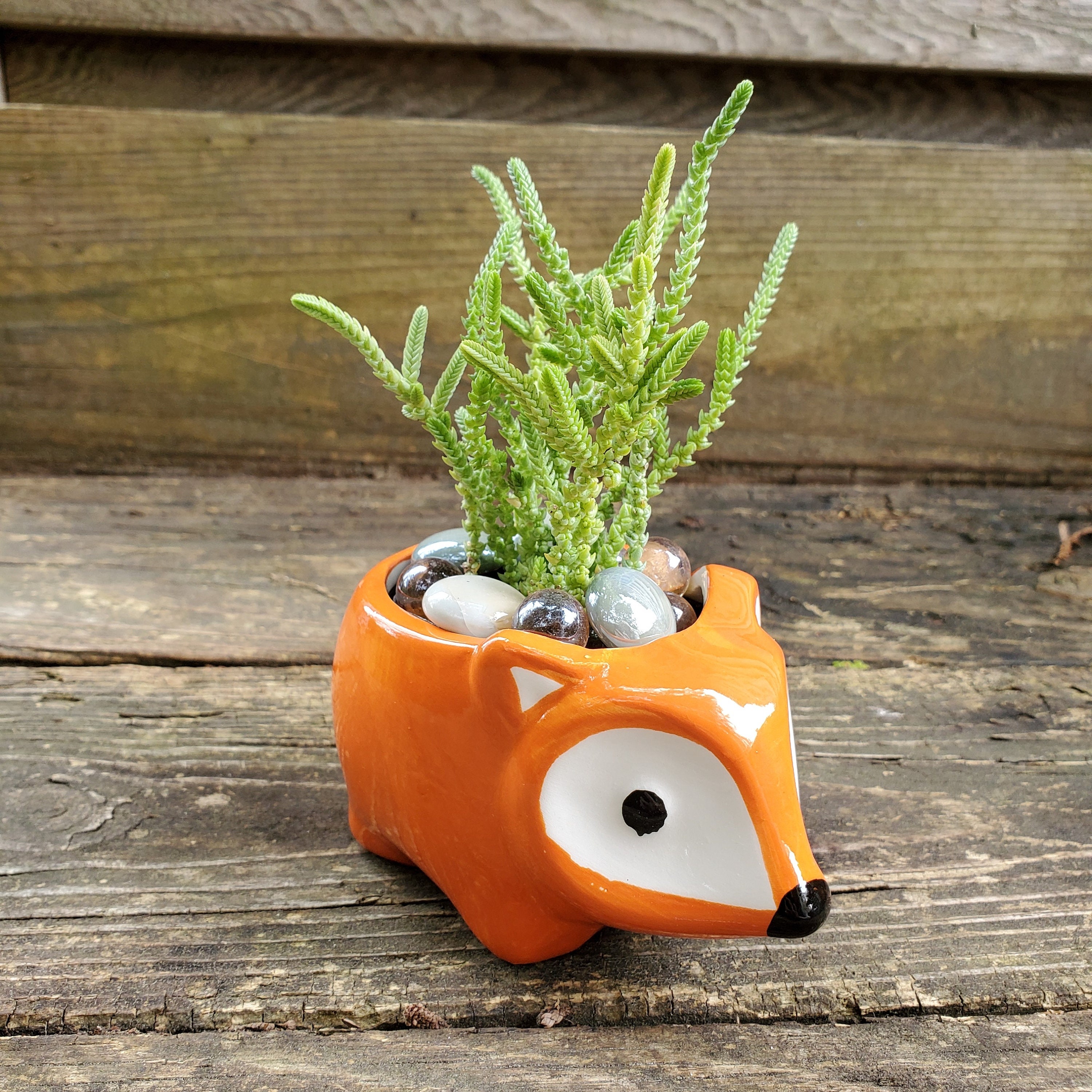 Succulent in Fox Planter 5 Orange Ceramic Pot With - Etsy