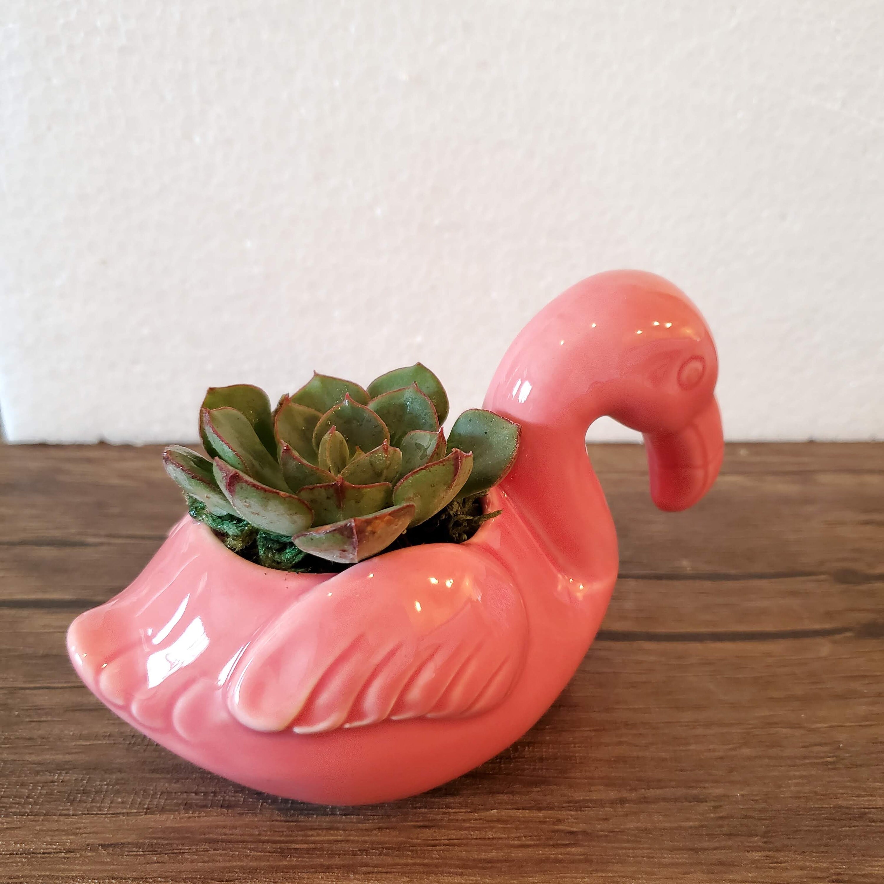 Pink Flamingo Planter With Succulent Potted Succulents | Etsy