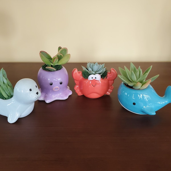 Animal Planters - Etsy