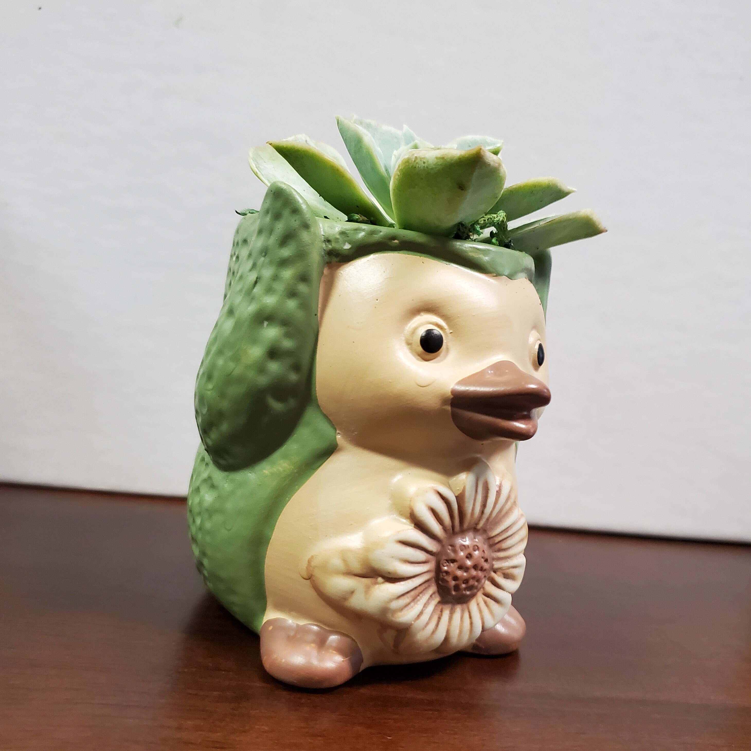 Happy Penguin Planter With Succulent Pot With Succulents - Etsy