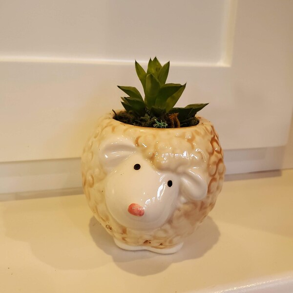 Sheep Planter - Etsy