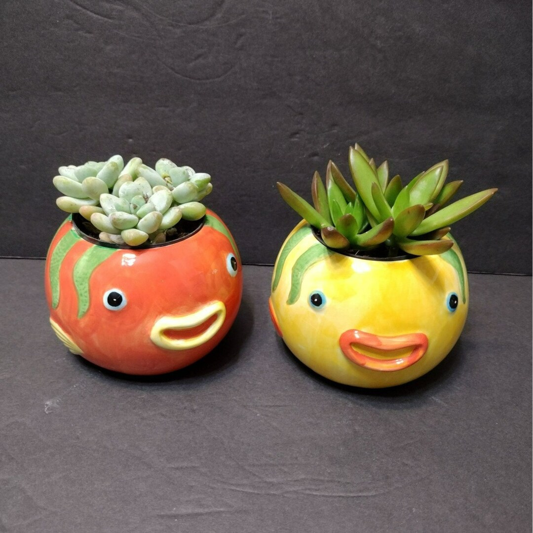 Happy Fish Planter, Yellow or Orange, Ceramic Plant Pot, Houseplant ...