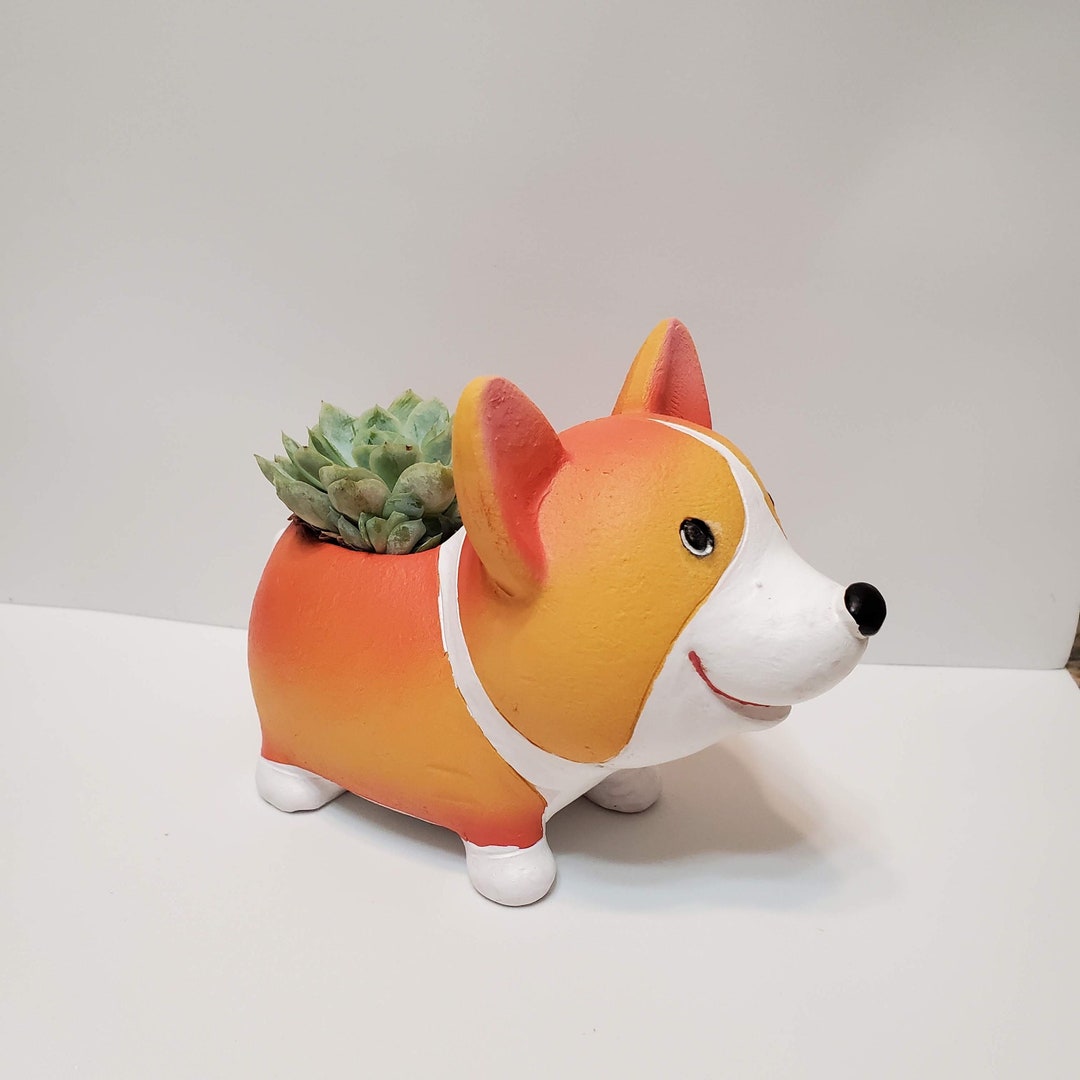 Corgi Dog Planter With Succulent, Echeveria, Dog Plant Pot, Animal ...