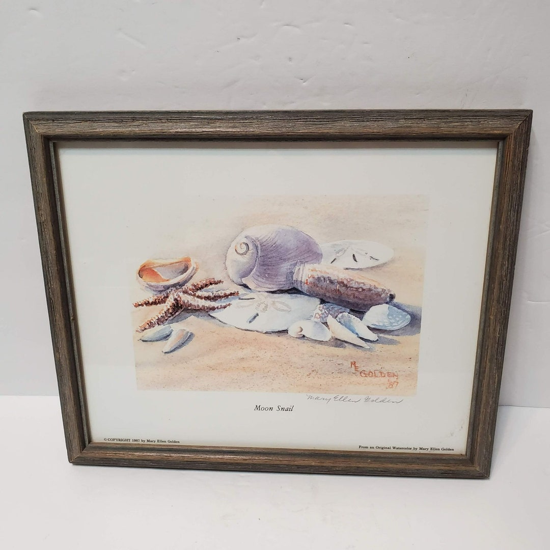 Mary Ellen Golden Art, Signed Print, Framed, Matted, Moon Snail, 1987 ...