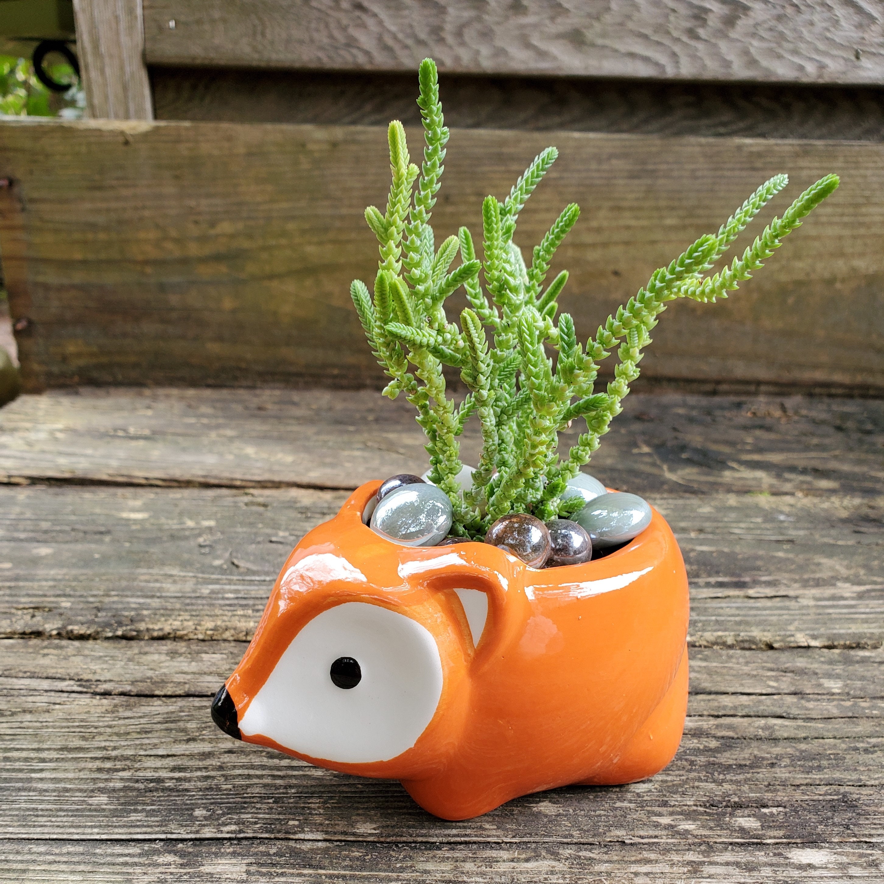 Succulent in Fox Planter 5 Orange Ceramic Pot With - Etsy