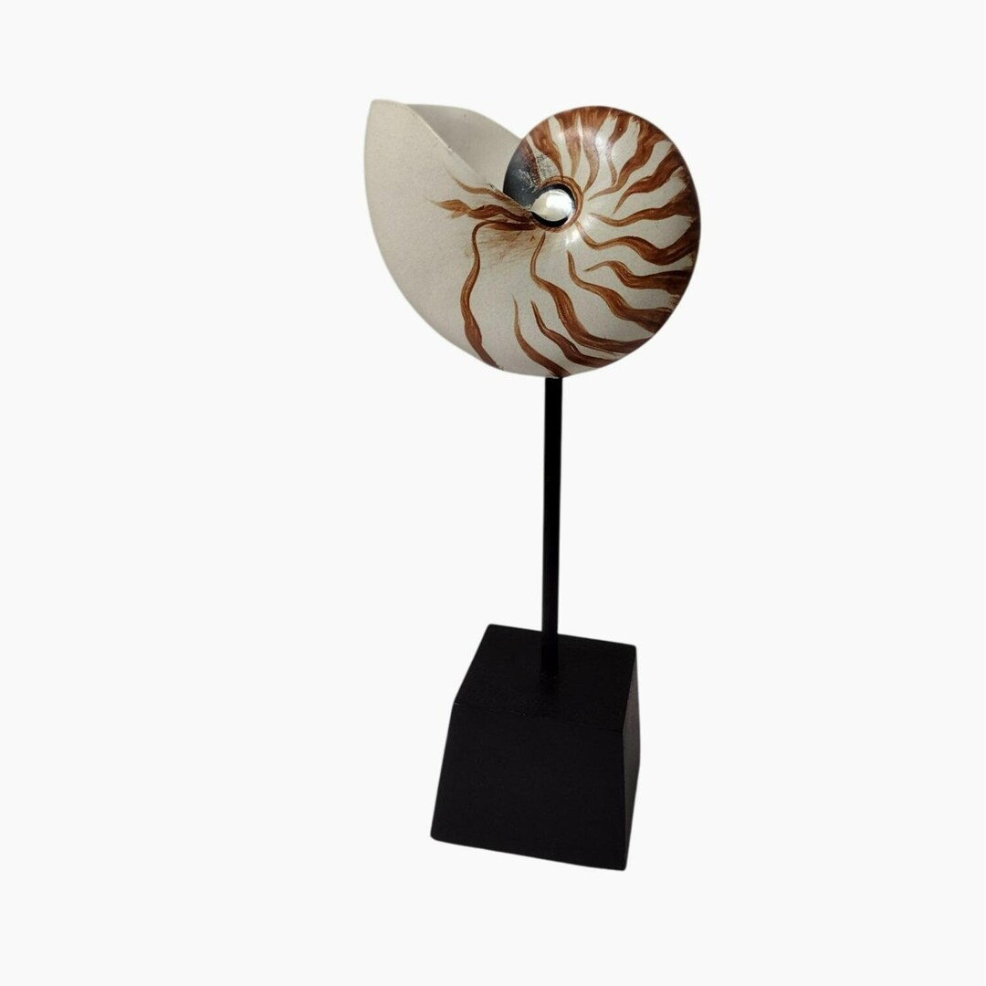 TMS 2005 Nautilus Shell Statue on Stand, Vintage, Seashell Sculpture ...