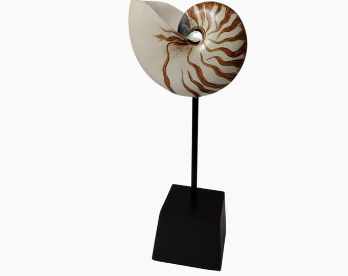 TMS 2005 Nautilus Shell Statue on Stand, Vintage, Seashell Sculpture ...