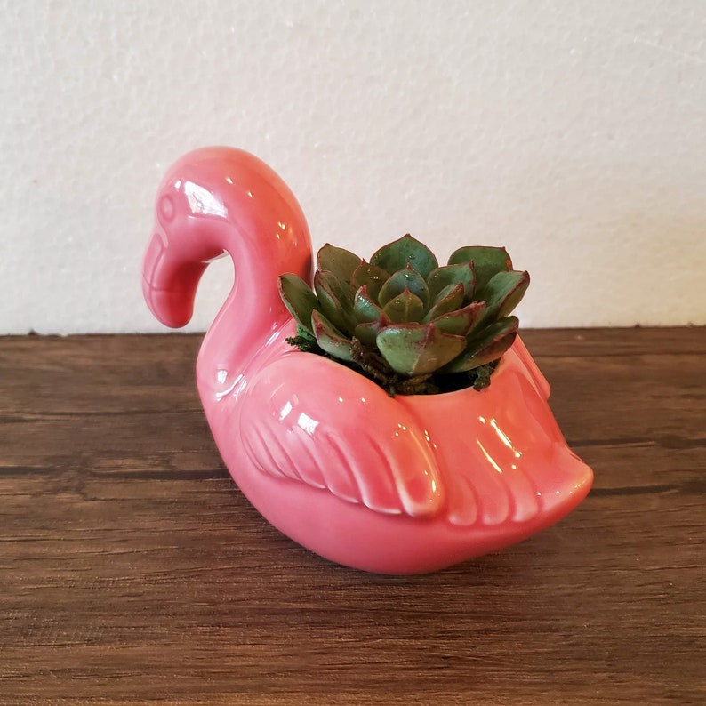 Pink Flamingo Planter With Succulent Potted Succulents | Etsy